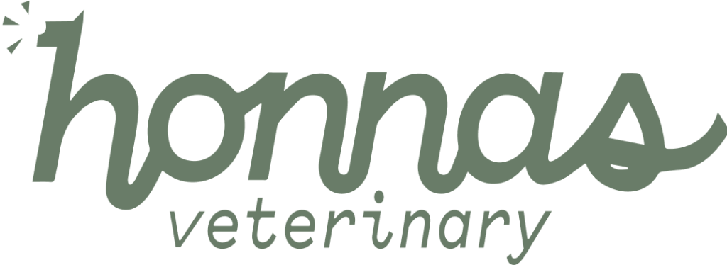 Meet the Team | Honnas Veterinary
