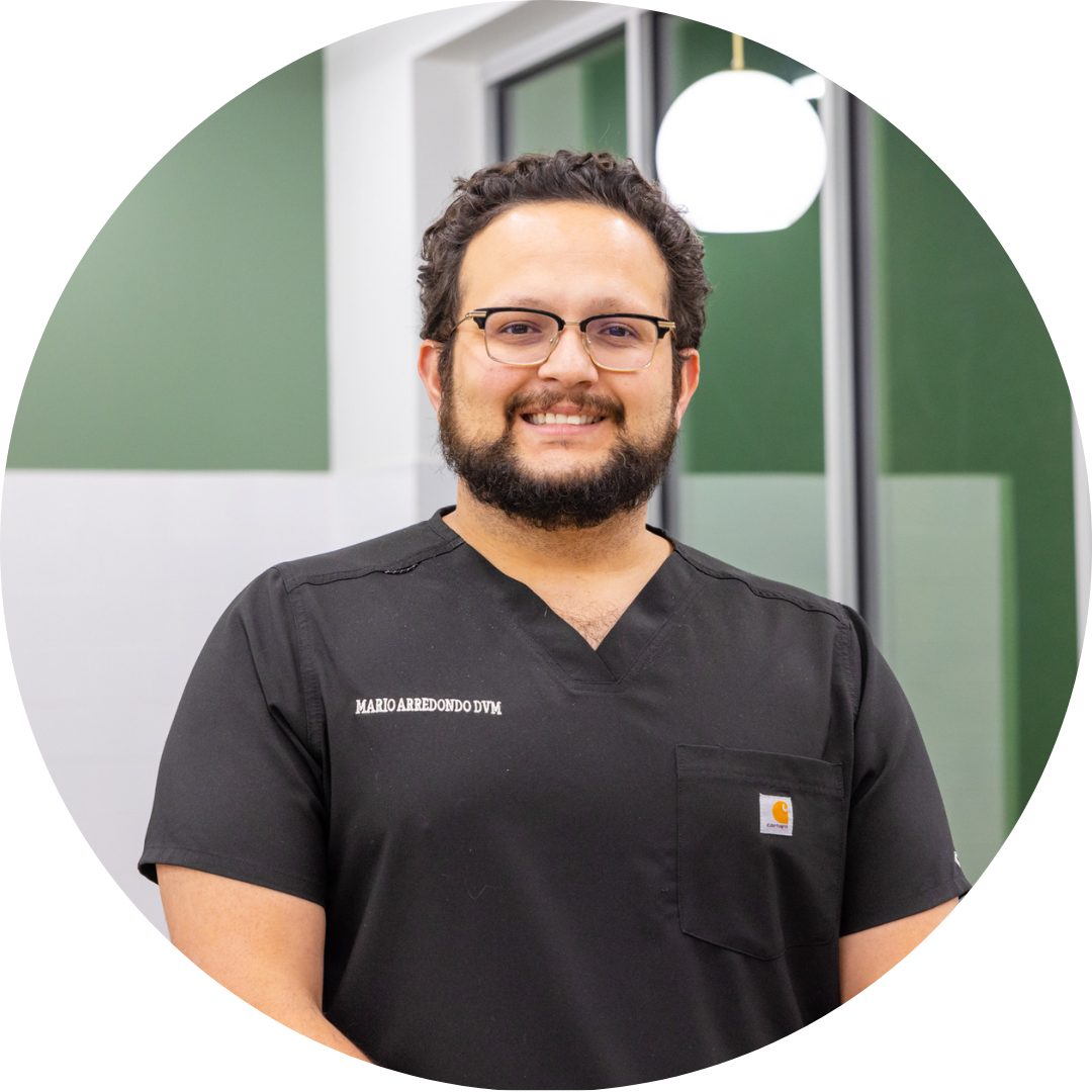Meet the Team | Honnas Veterinary