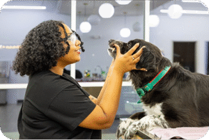 Contact Us | Honnas Veterinary
