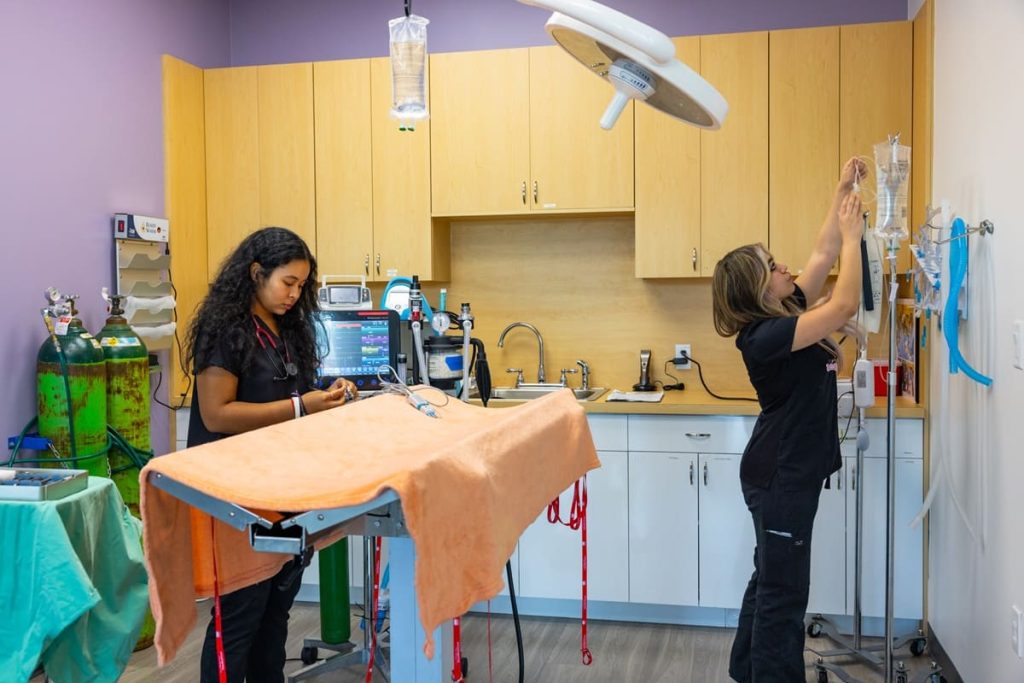 Honnas Veterinary | Veterinarian in Austin | Free New Patient Exams